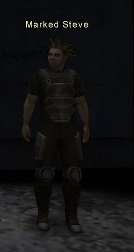 NPC: Marked Steve | Fallen Earth Wiki | Fandom