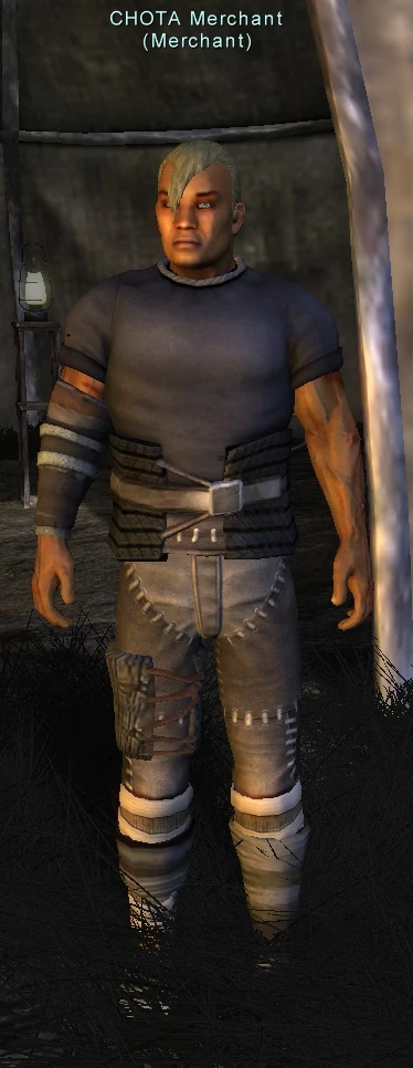 Merchant: CHOTA Merchant | Fallen Earth Wiki | Fandom