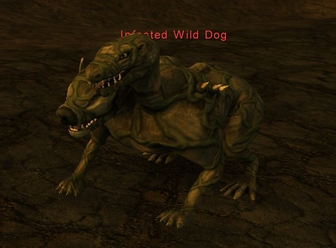 Enemy: Infected Wild Dog | Fallen Earth Wiki | Fandom