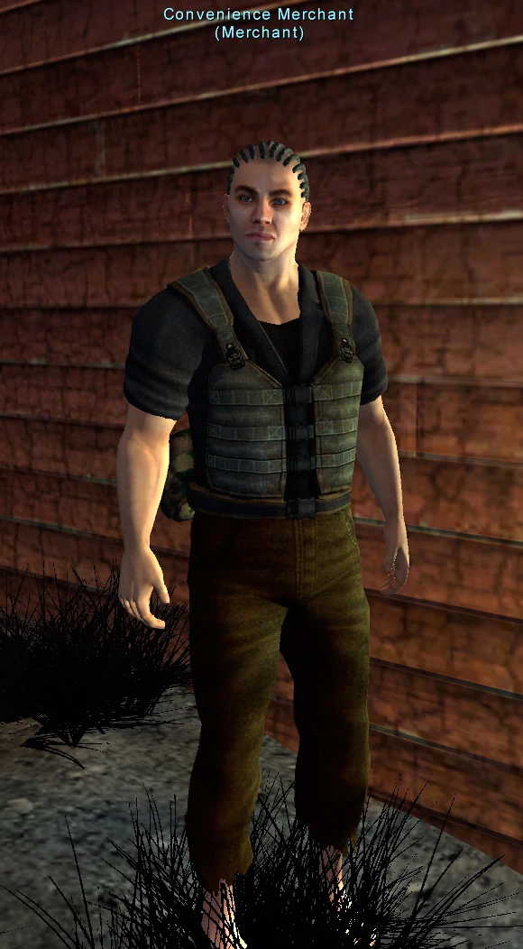 Merchant: Convenience Merchant (Citadel) | Fallen Earth Wiki | Fandom