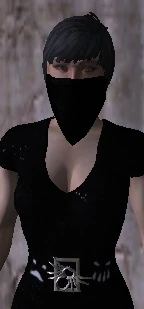 Marauder Mask | Fallen Earth Wiki | Fandom