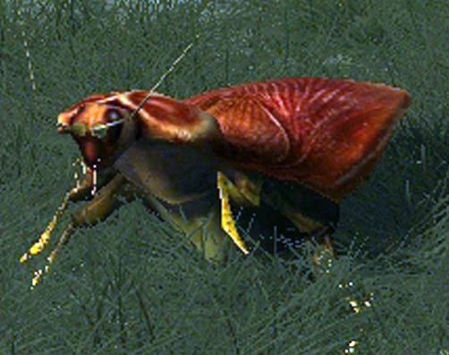 Companion: Cockroach | Fallen Earth Wiki | Fandom