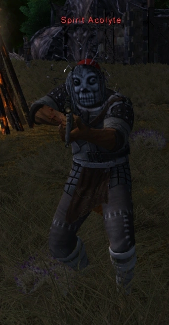 Enemy: Spirit Acolyte | Fallen Earth Wiki | Fandom