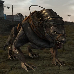 fallen earth resources