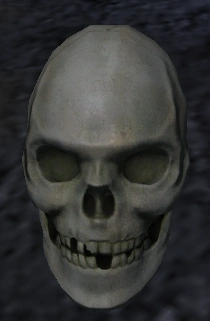 Node: Skull | Fallen Earth Wiki | Fandom