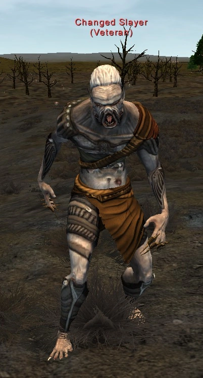 Enemy: Changed Slayer | Fallen Earth Wiki | Fandom