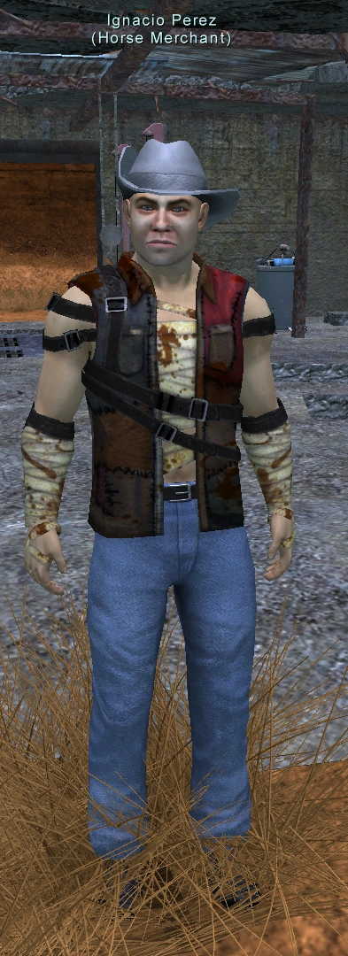 Horse: Ignacio Perez | Fallen Earth Wiki | Fandom