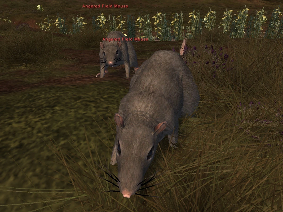 Enemy: Angered Field Mouse | Fallen Earth Wiki | Fandom
