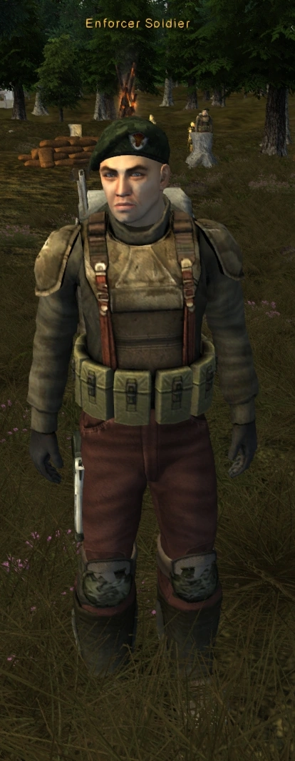 Enemy: Enforcer Soldier | Fallen Earth Wiki | Fandom