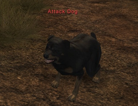 Enemy: Attack Dog | Fallen Earth Wiki | Fandom
