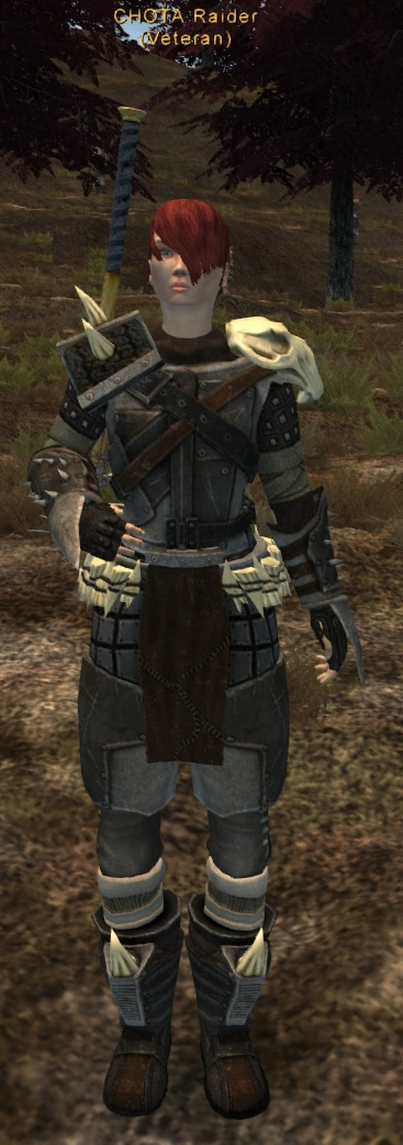 Enemy: CHOTA Raider | Fallen Earth Wiki | Fandom