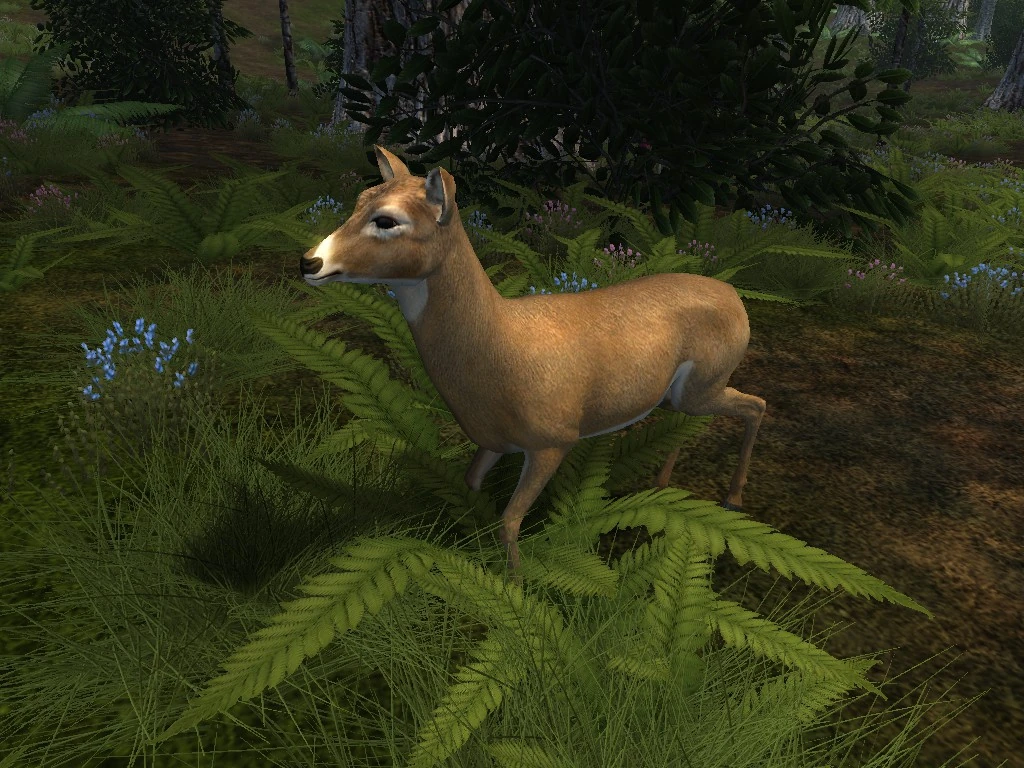 Enemy: Doe | Fallen Earth Wiki | Fandom