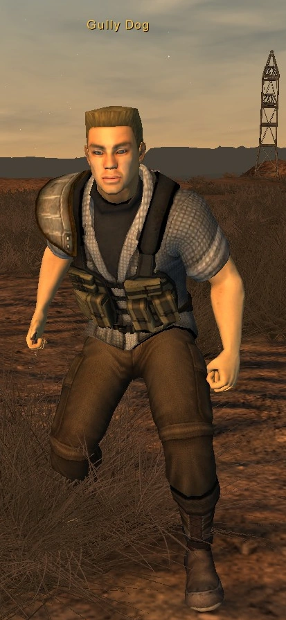 Enemy: Gully Dog | Fallen Earth Wiki | Fandom