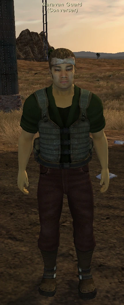 NPC: Caravan Guard | Fallen Earth Wiki | Fandom