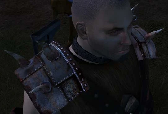 Reinforced Shoulder Armor | Fallen Earth Wiki | Fandom