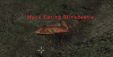 Enemy: Muck Eating Stinkbeetle | Fallen Earth Wiki | Fandom