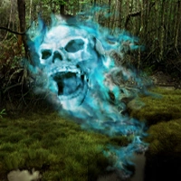 Dreg Wisp | Fallen Sword Wiki | Fandom