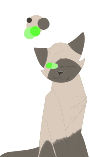 Hazelpaw | Falling Skies (Roleplay) Wiki | Fandom