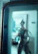 Dornia | Falling Skies Wiki | Fandom