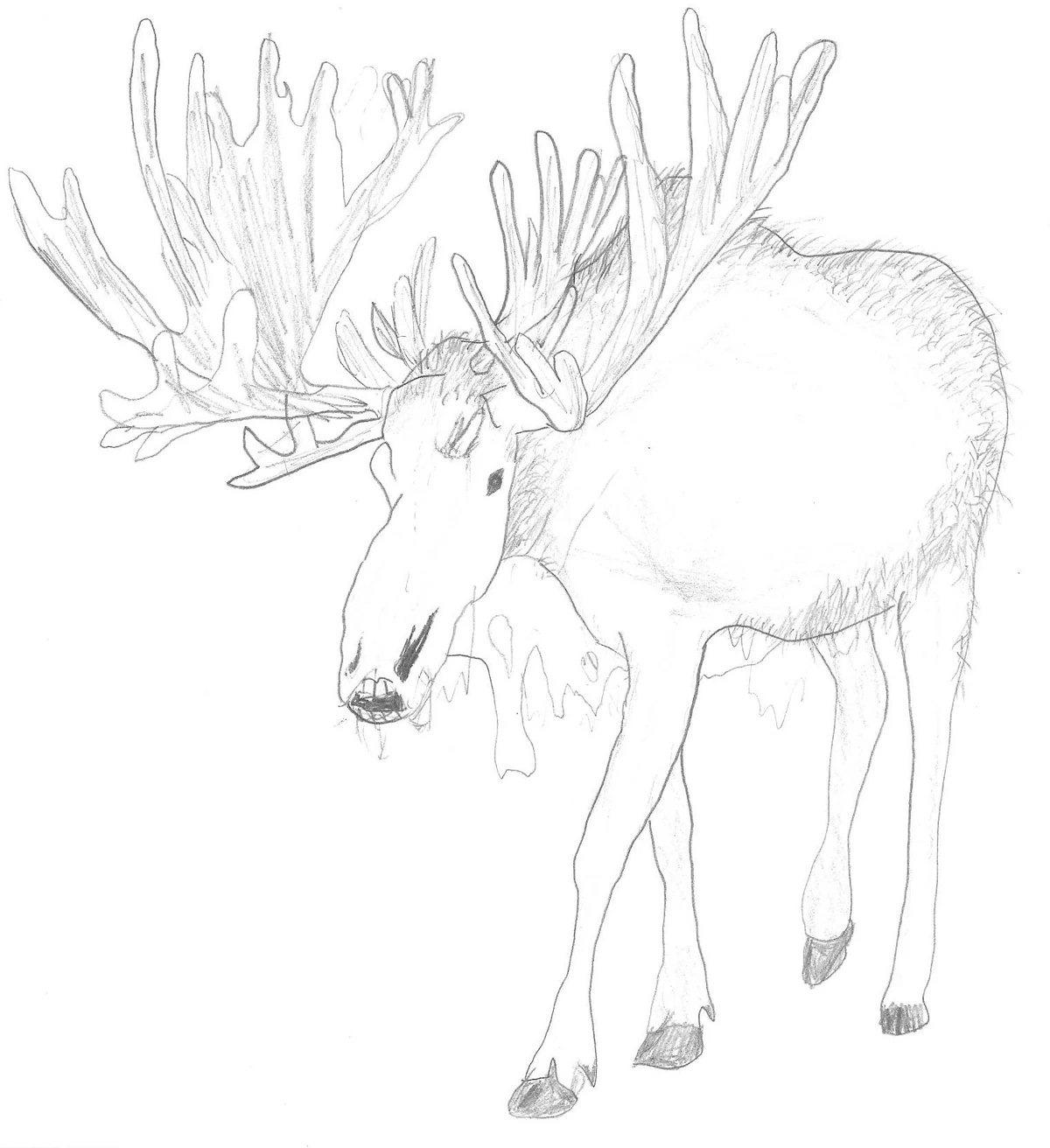 Mutant Moose | Fallout: Alaska Wiki | Fandom