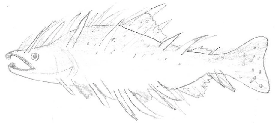 Spike | Fallout: Alaska Wiki | Fandom