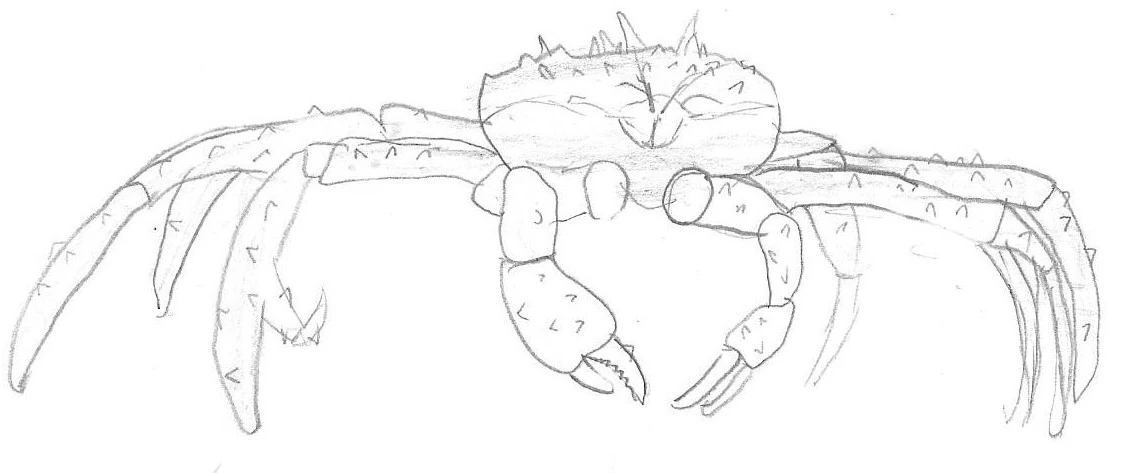 Atka | Fallout: Alaska Wiki | Fandom