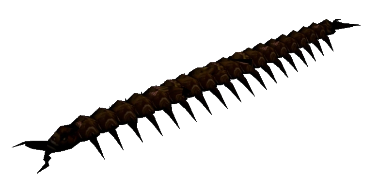 Centipede | Fallout dnd Wiki | Fandom