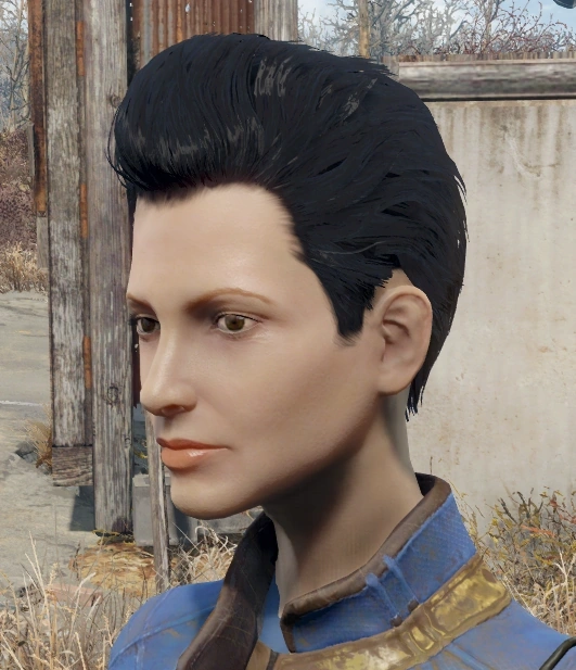 Wigs | Fallout dnd Wiki | Fandom