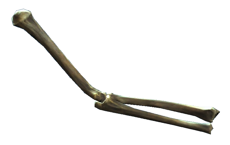Arm bones | Fallout dnd Wiki | Fandom