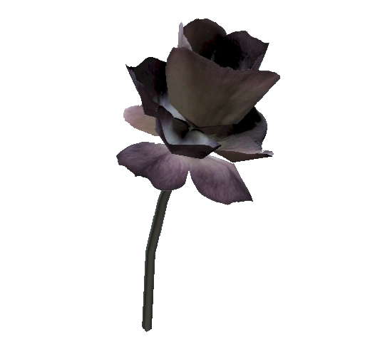 Fern flower | Fallout dnd Wiki | Fandom