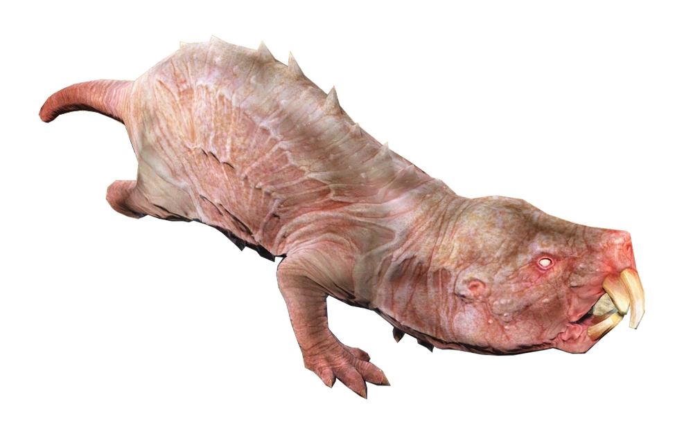 Mole rat | Fallout dnd Wiki | Fandom