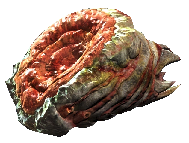 Bloatfly meat | Fallout dnd Wiki | Fandom