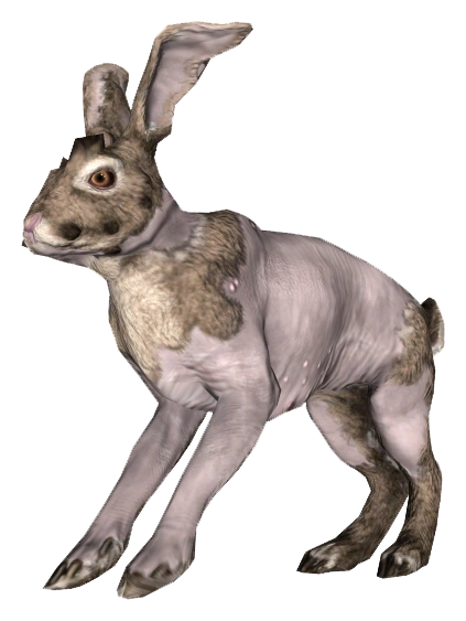 Rabbits | Fallout dnd Wiki | Fandom