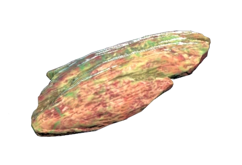 Ghoul meat | Fallout dnd Wiki | Fandom