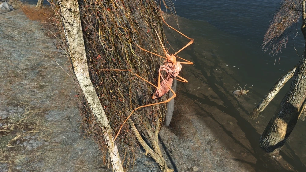 Bloodbug | Fallout dnd Wiki | Fandom