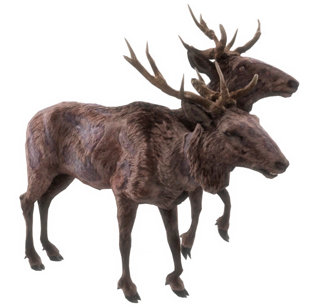 Deer | Fallout dnd Wiki | Fandom