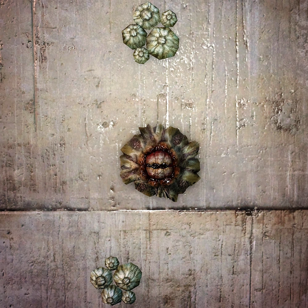 Barnacle | Fallout dnd Wiki | Fandom