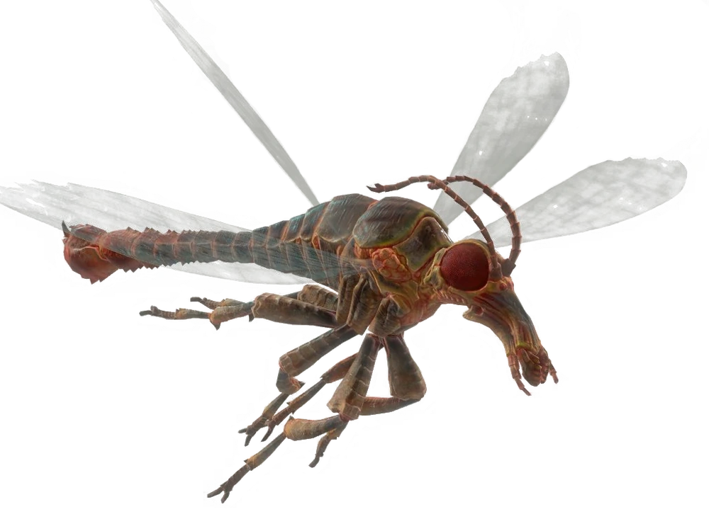 Stingwing | Fallout dnd Wiki | Fandom