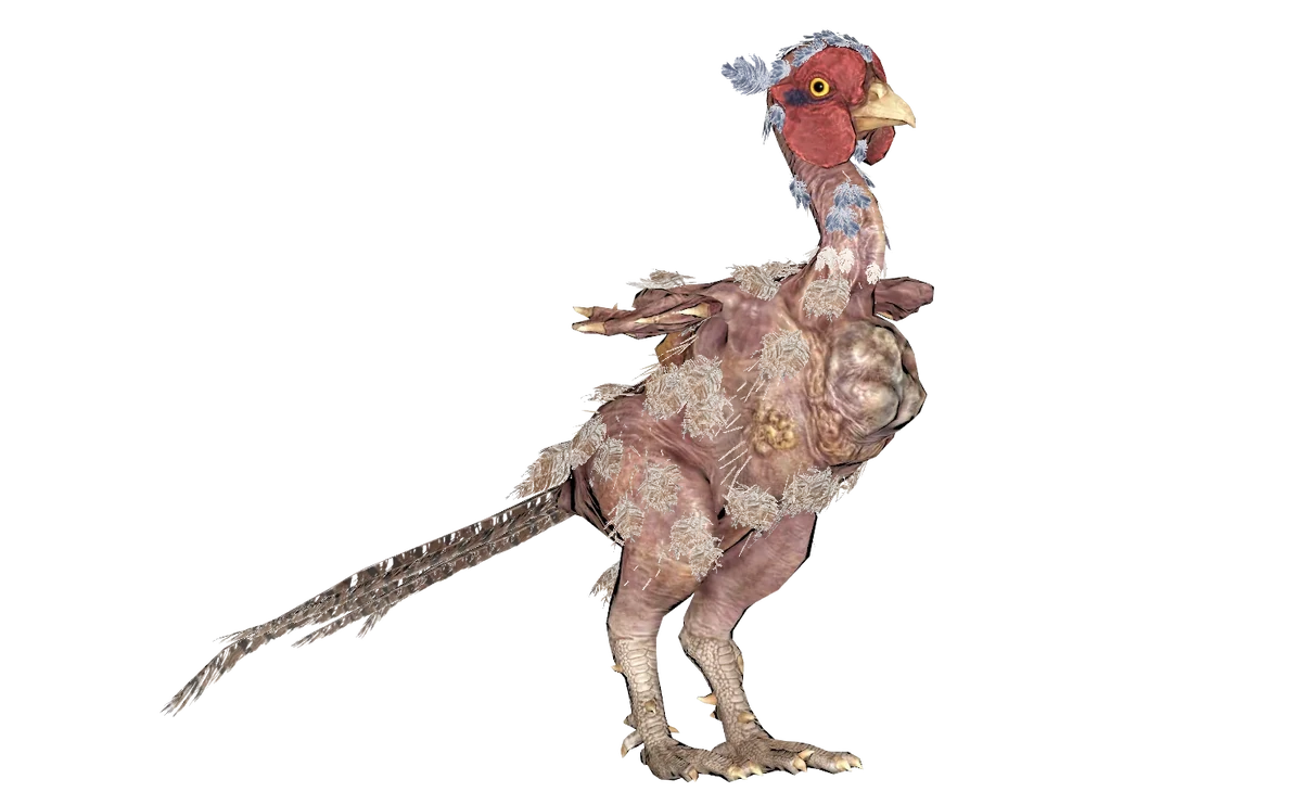 Pheasants | Fallout dnd Wiki | Fandom