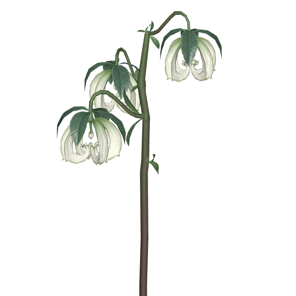 Glorybell | Fallout dnd Wiki | Fandom