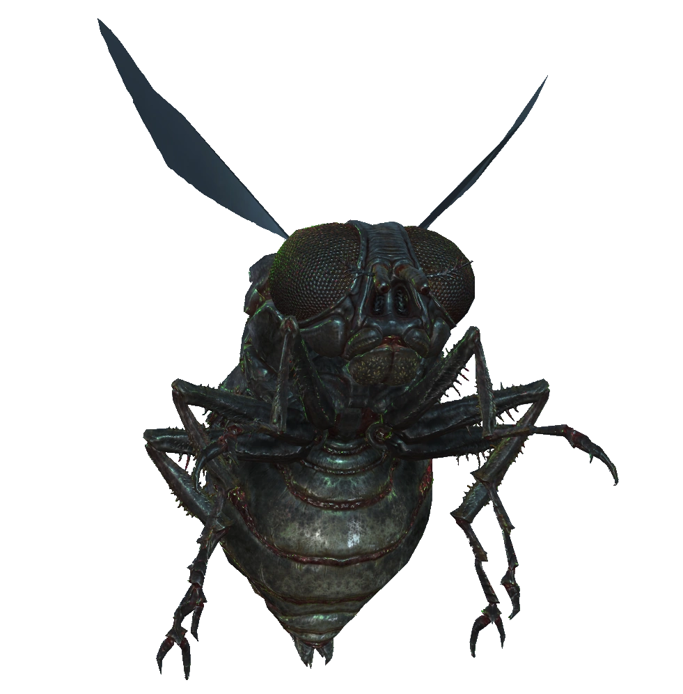 Bloatfly | Fallout dnd Wiki | Fandom