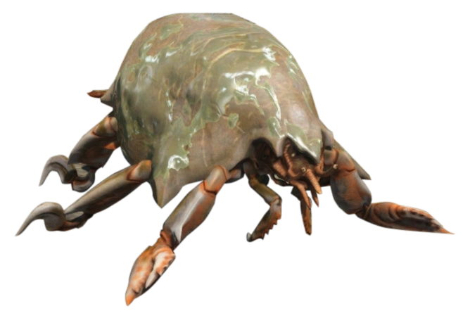 Mirelurk | Fallout dnd Wiki | Fandom