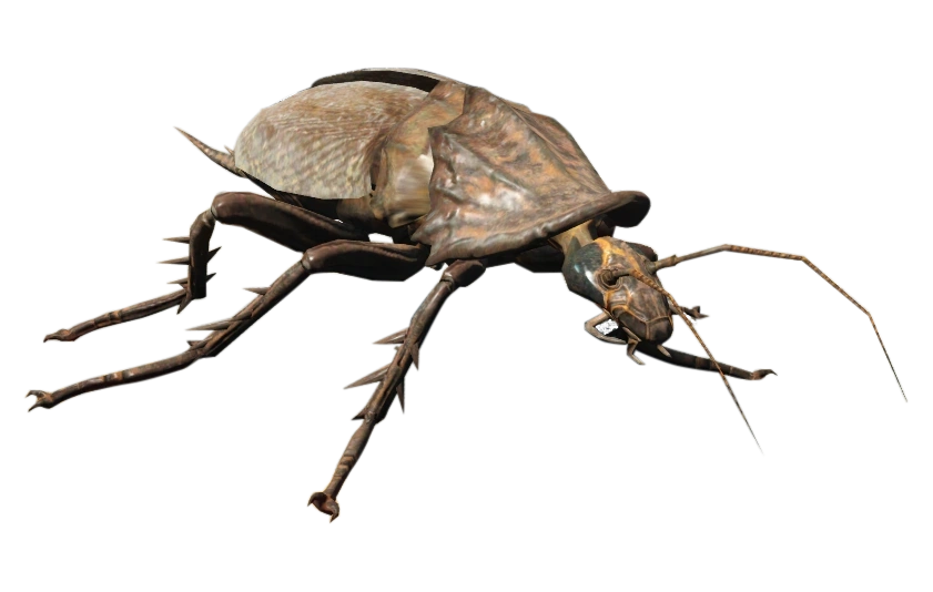 Roach | Fallout dnd Wiki | Fandom