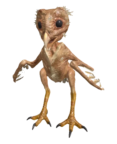 Owl | Fallout dnd Wiki | Fandom