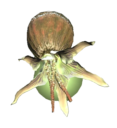 Strangler bloom | Fallout dnd Wiki | Fandom