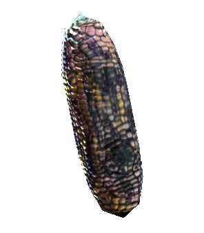 Corn | Fallout dnd Wiki | Fandom