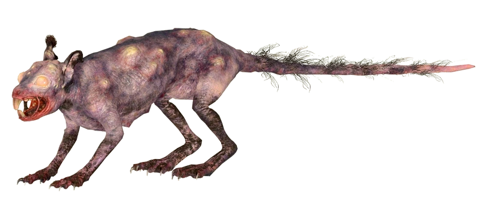 Squirrel | Fallout dnd Wiki | Fandom