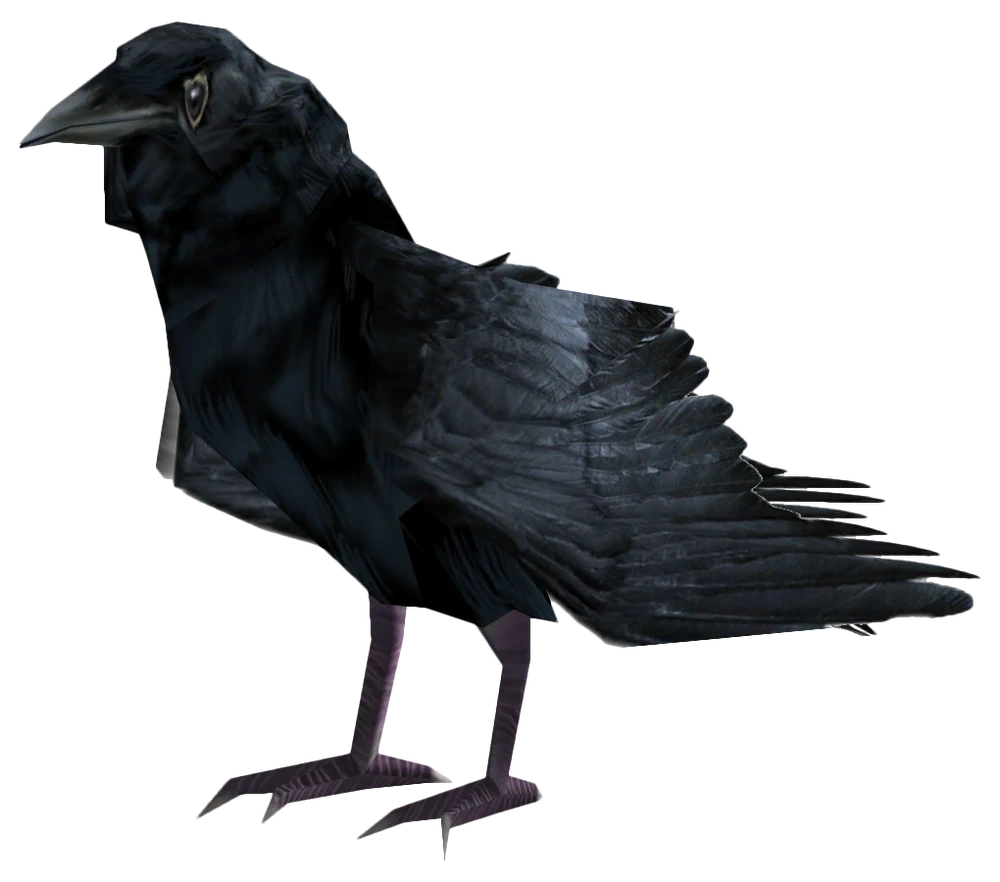 Raven | Fallout dnd Wiki | Fandom
