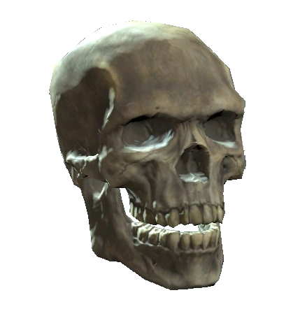 Skull | Fallout dnd Wiki | Fandom