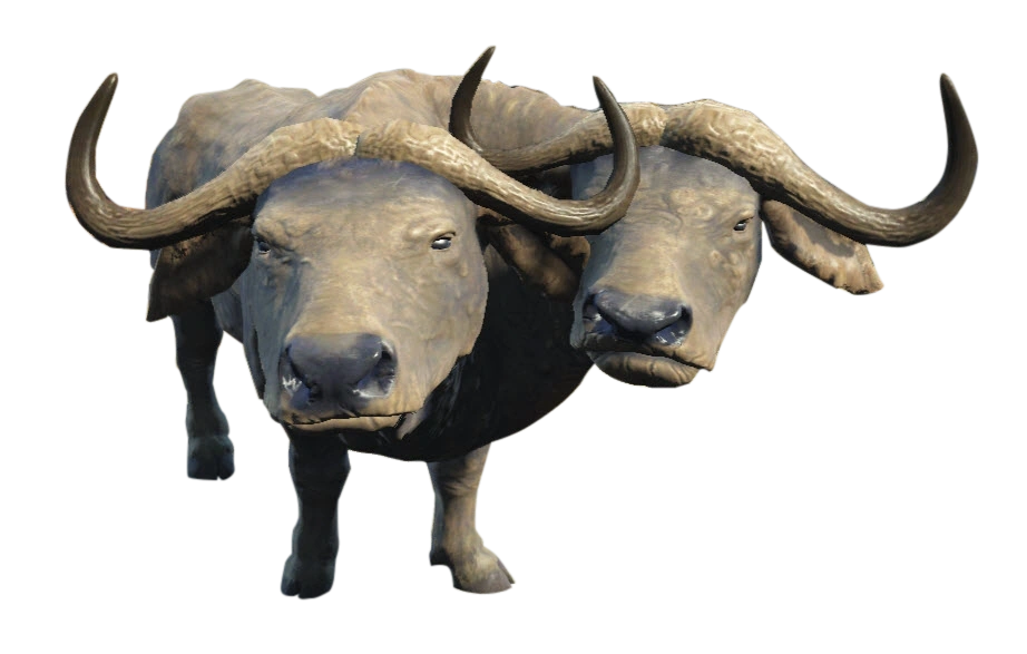 Buffalo | Fallout dnd Wiki | Fandom